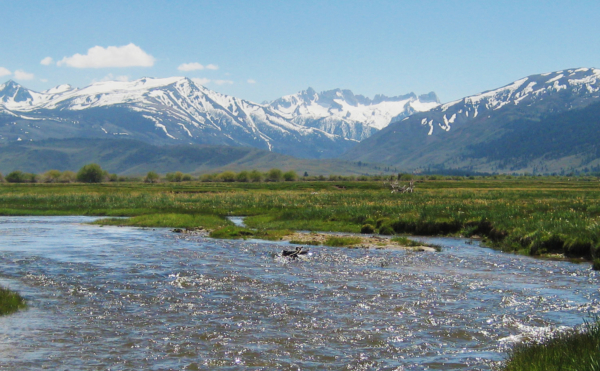 Sceirine Point Ranch Conservation Easement - ESLT