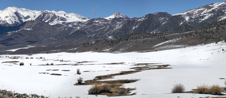 Home - Eastern Sierra Land Trust